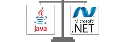Java vs .NET: Who Will Rule the Future? [2024]