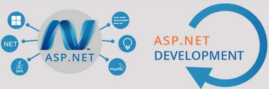 Java vs .NET: Who Will Rule the Future? [2024]