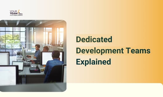 Project-Based vs. Long-Term Developers: Choosing the Right Fit